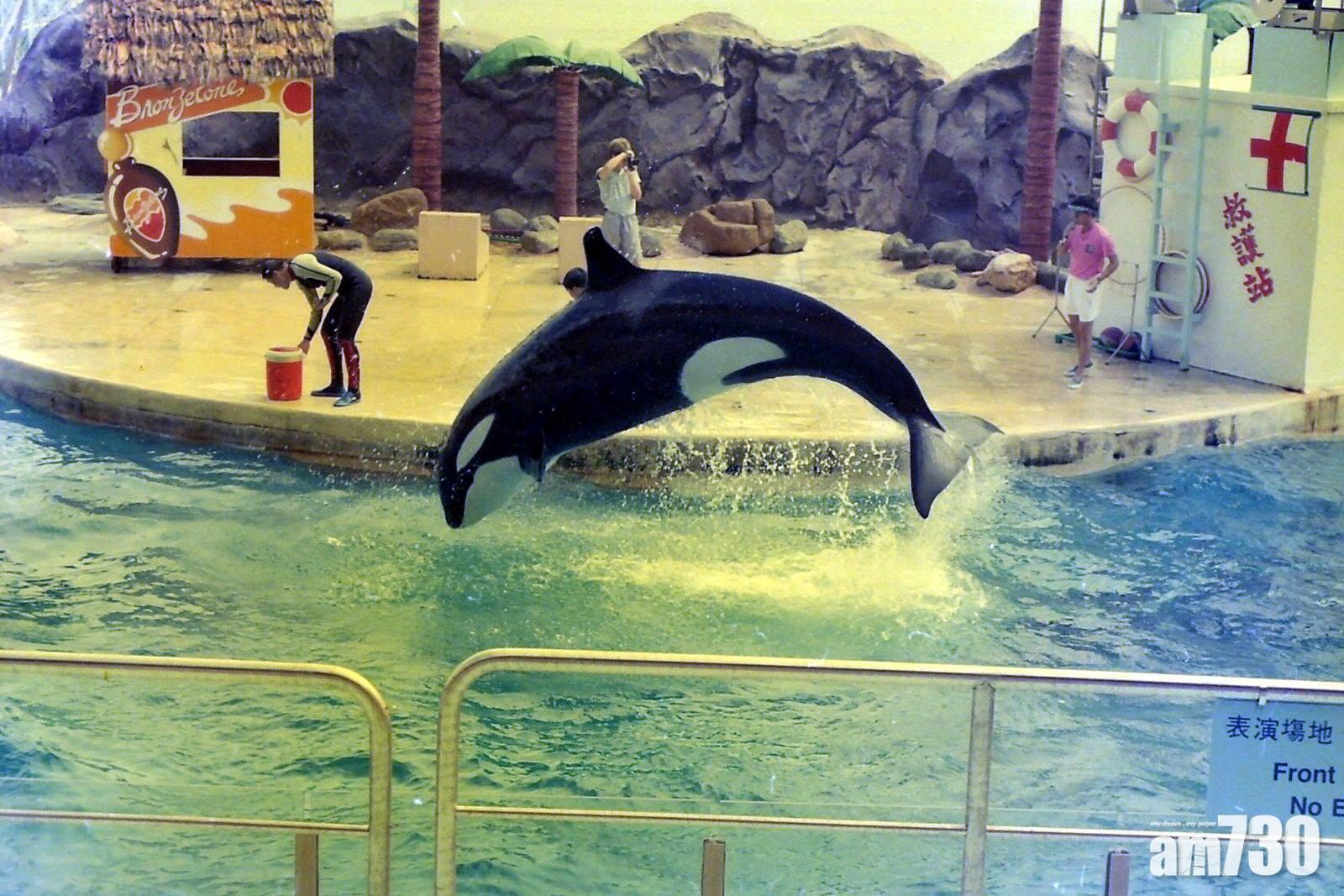 以前海洋公園真係好玩 | LIHKG 討論區