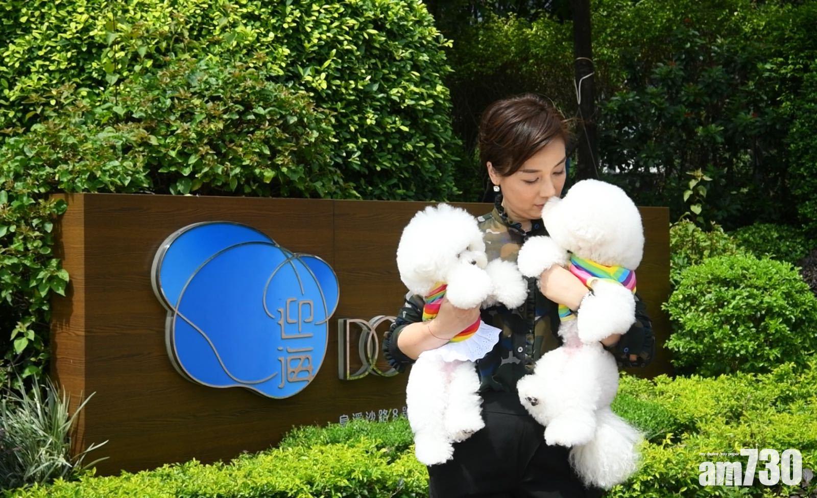 江美儀唔行街市去睇樓 網民:好過Ben Sir | am730