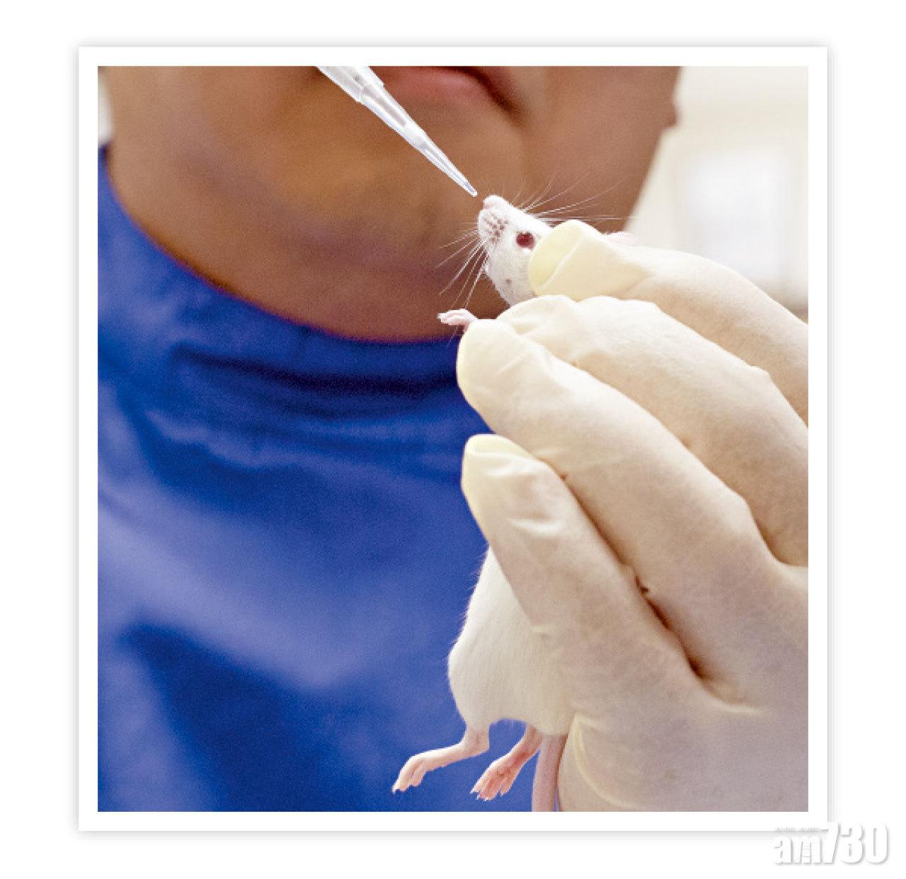 治理沙士寨卡多種病毒傳染病 港大研新藥AM580堵源頭 | am730