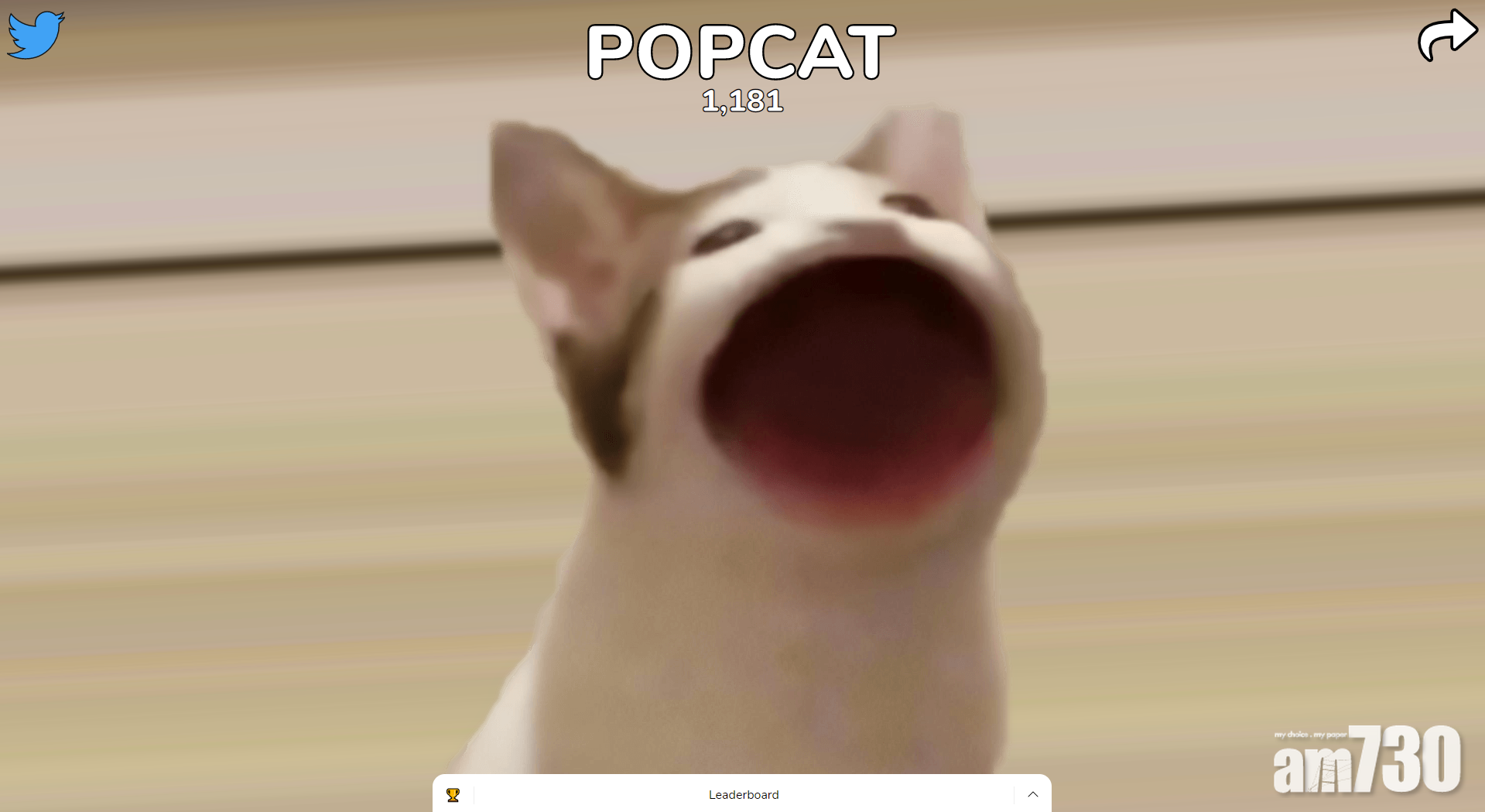 風靡全球手速遊戲「Popcat」 迷因貓掀點擊大戰 香港排全球第32！ | am730