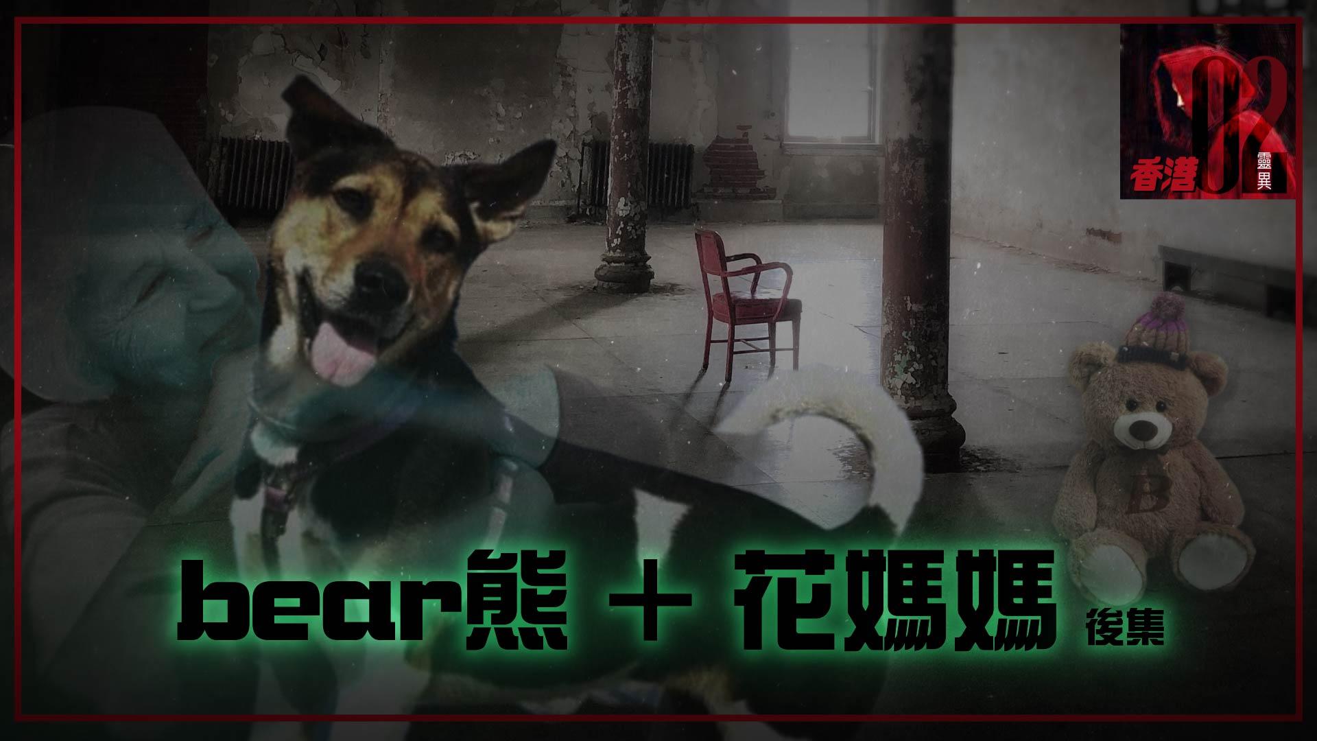 「bear熊 + 花媽媽」後集 | am730