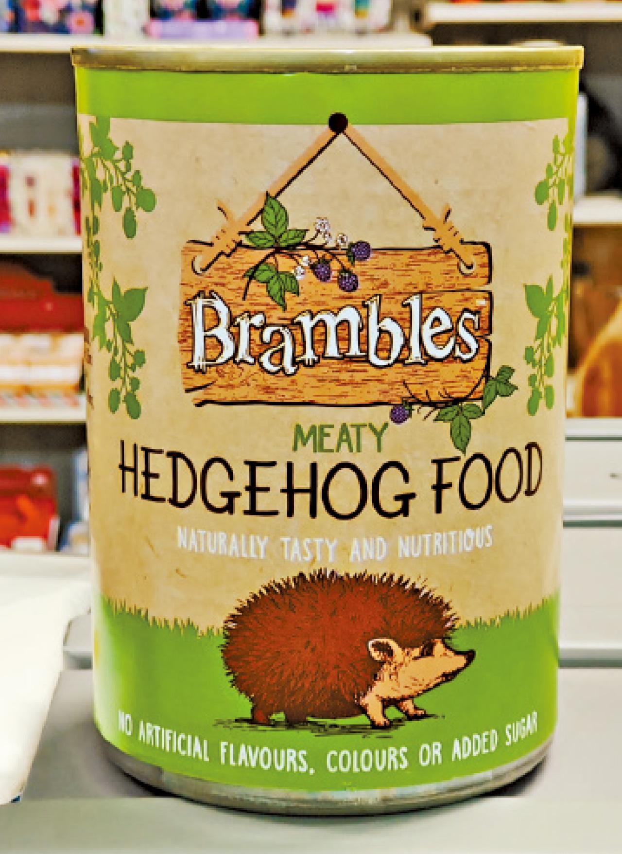 可愛的刺蝟 | am730