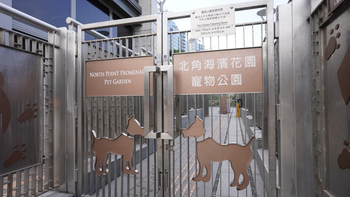 香港即時新聞 - AM730 : 北角海濱花園寵物公園大榕樹掛貓屍 4女涉虐畜被捕